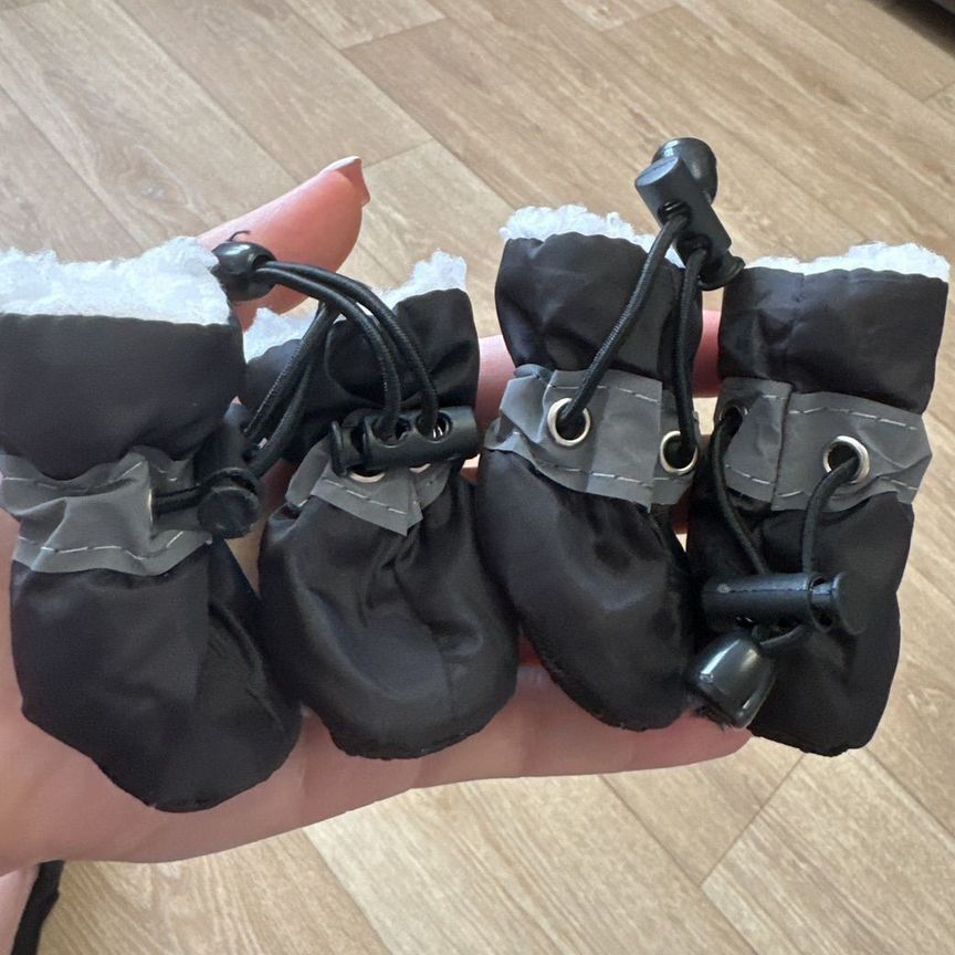 Обувь для маленьких собак