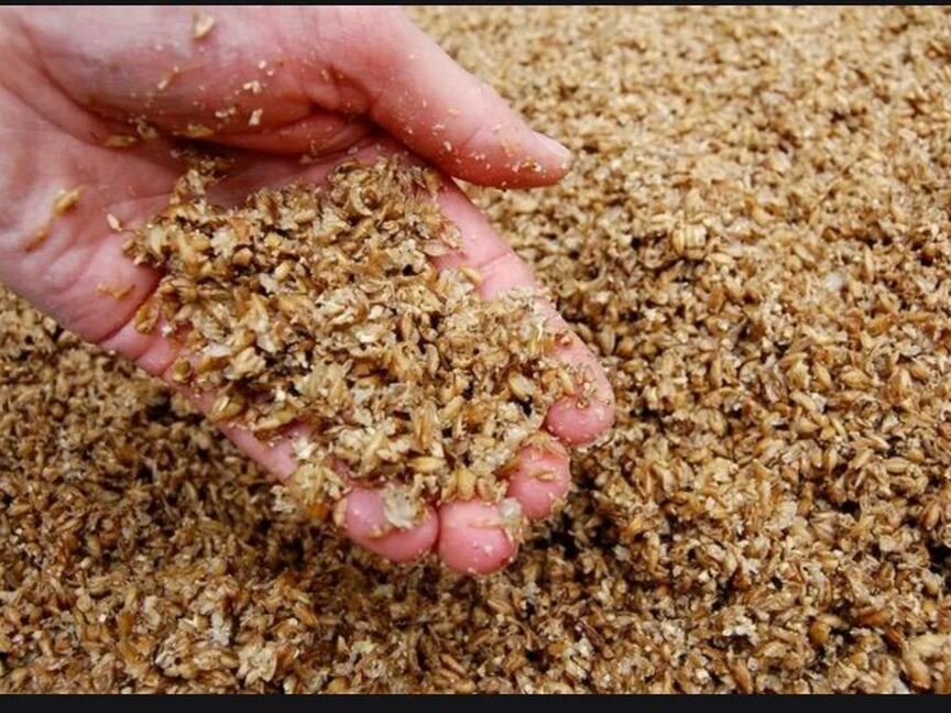 Пивная дробина