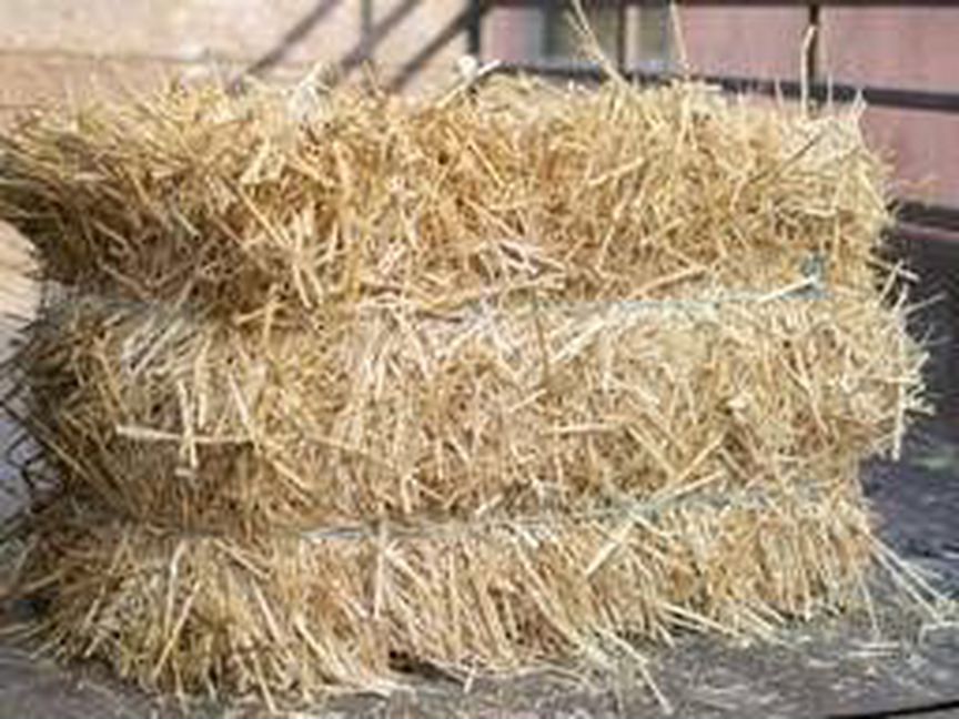 Солома просяная в тюках