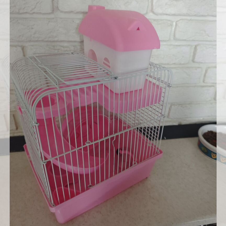 Клетка для джунгарского хомяка