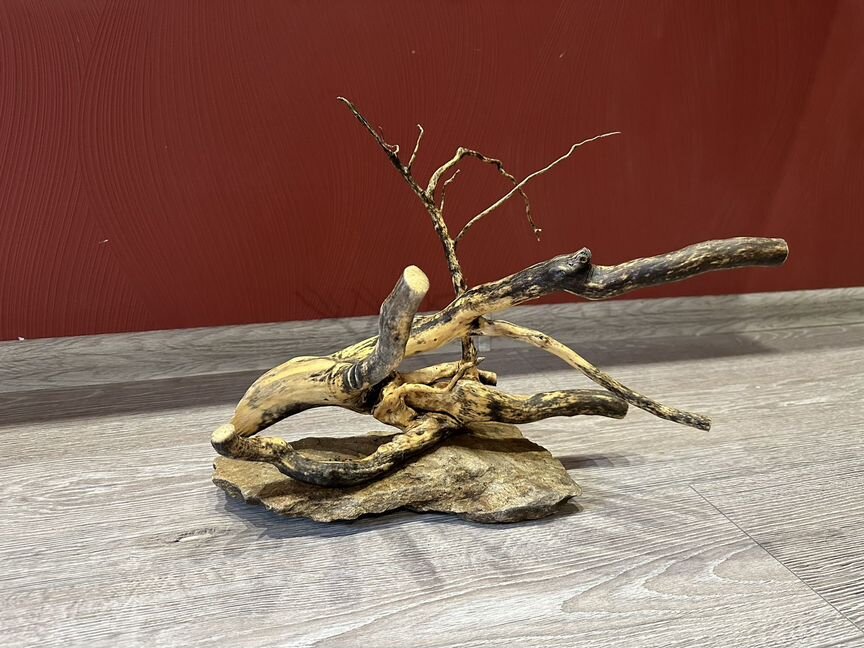 Коряга в аквариум, террариум