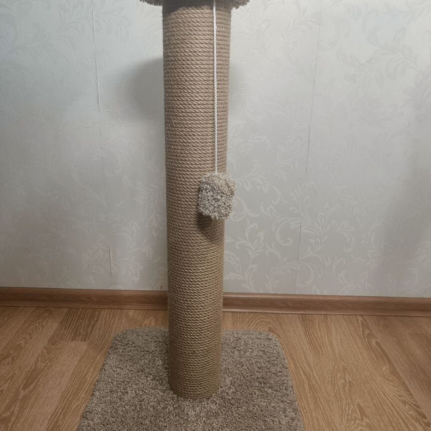 Когтеточка