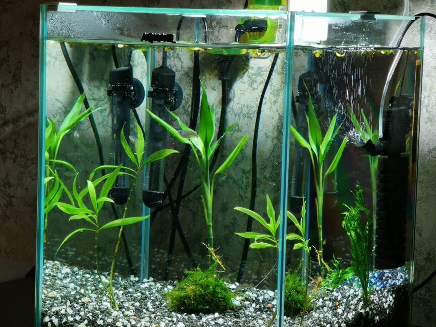 Продам аквариум