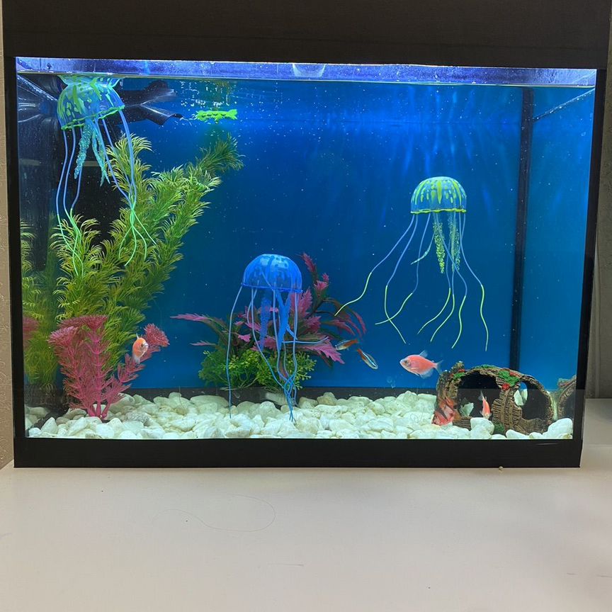 Аквариум с рыбками