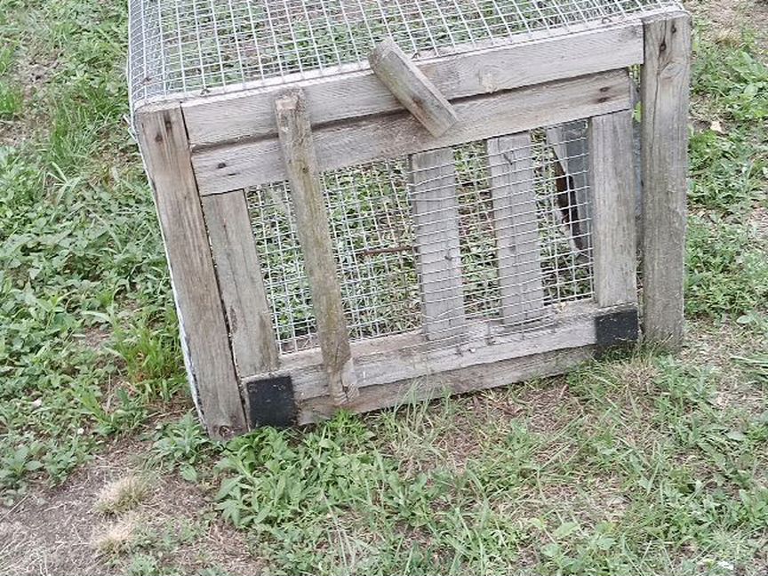 Клетки для кроликов, лис, нутрий