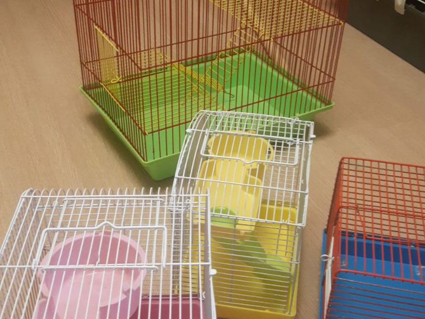 Клетка для грызунов бу