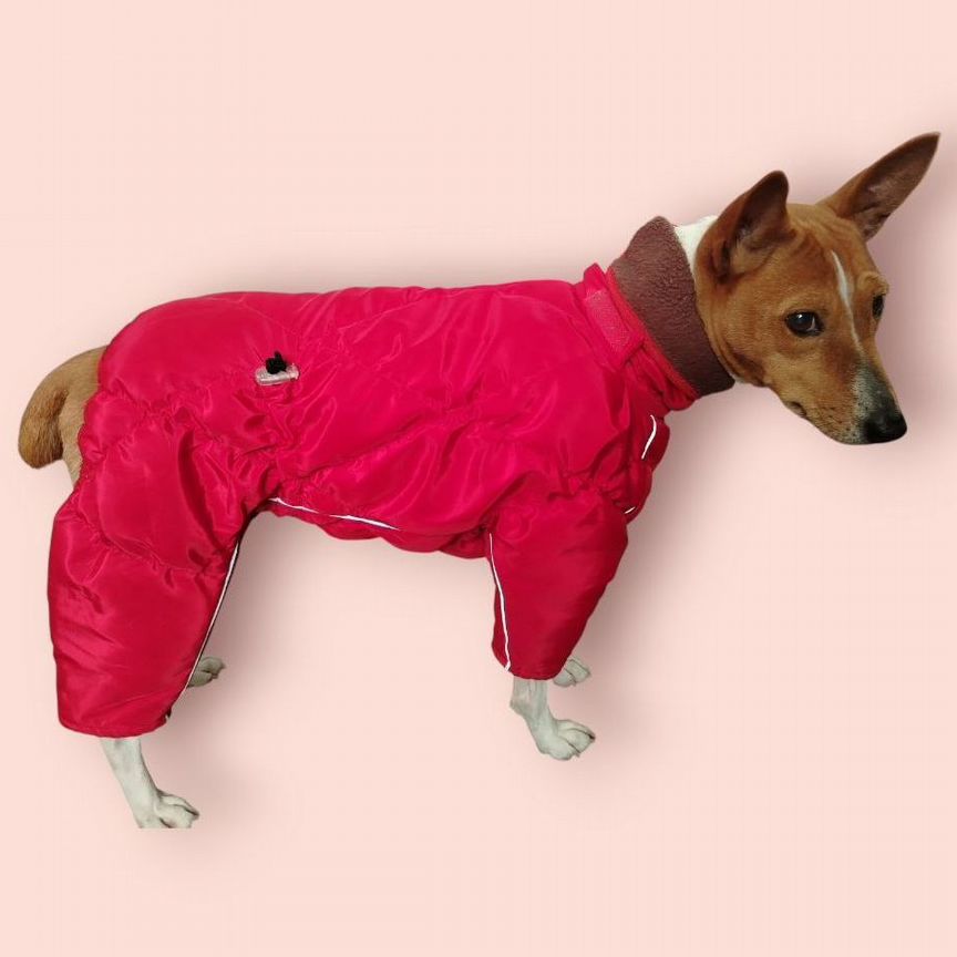 Теплый комбинезон для собаки девочки