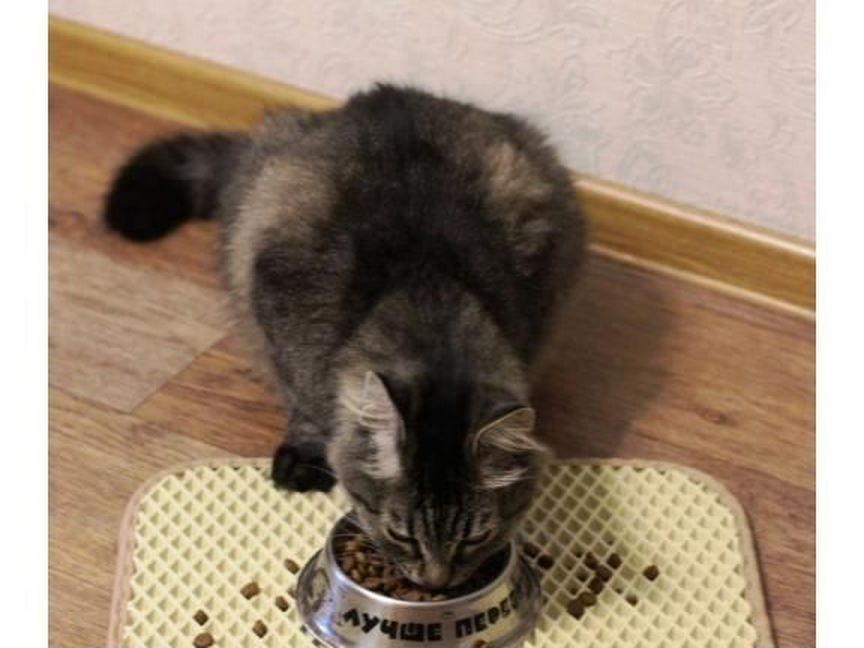 Eva коврик для животных