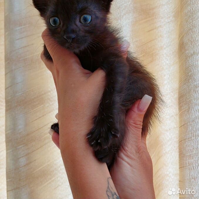 Очаровательная милашка