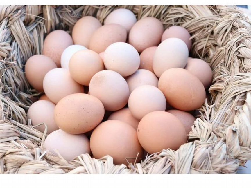 Продам инкубационные яйца