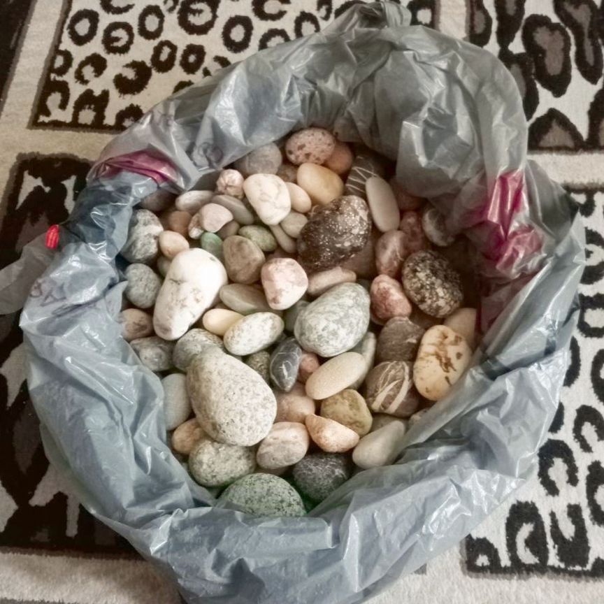 Камни для аквариума и террариума