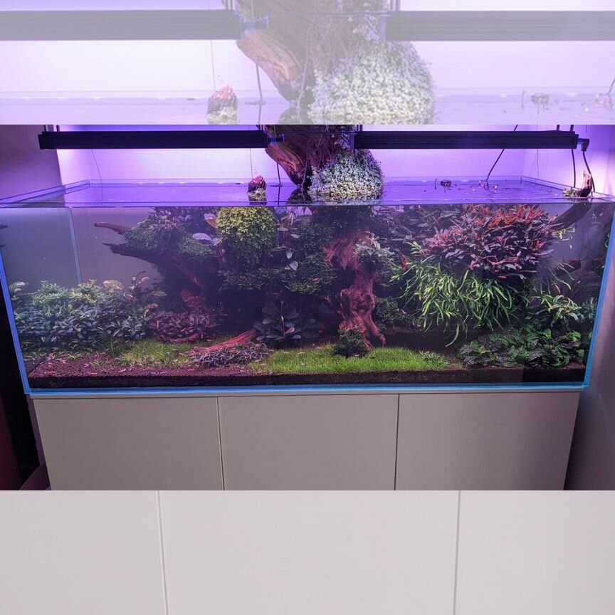 Аквариумы морские и пресноаодные