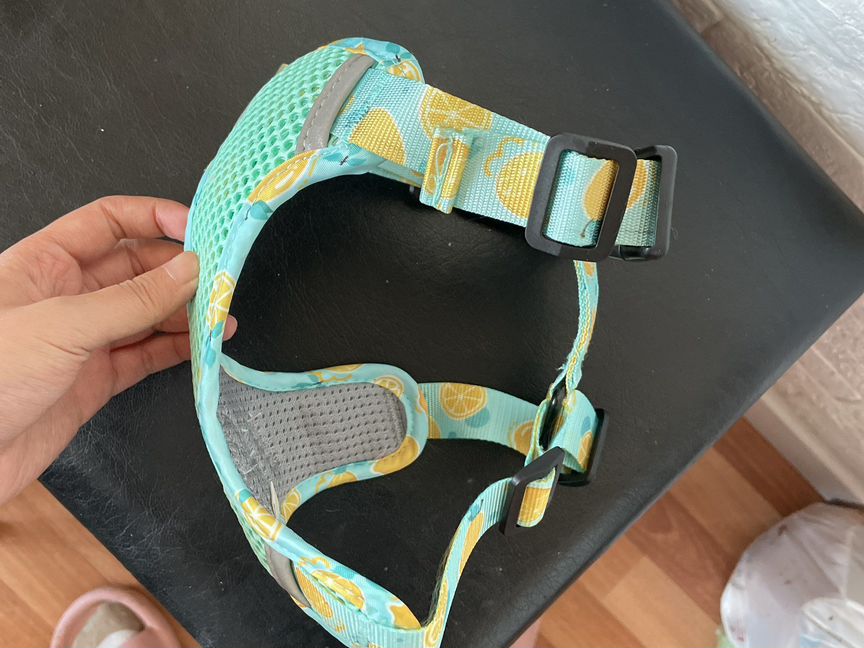 Поводок для домашних животных