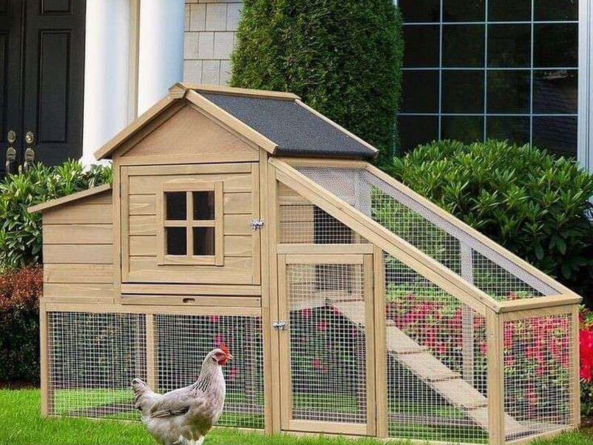 Домик для куриц