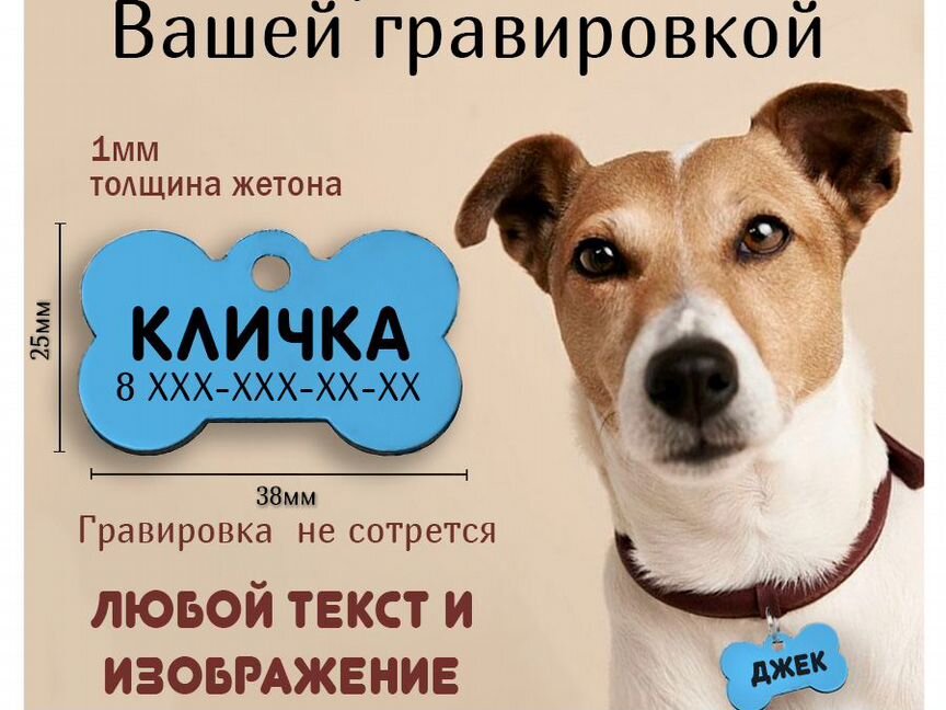 Адресник с Вашей гравировкой большая голубая "Кост