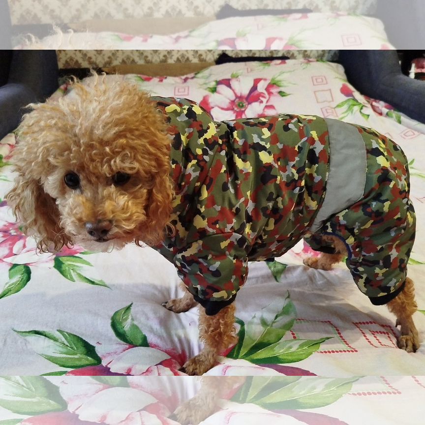 Комбинезон зимний для собак мелких пород