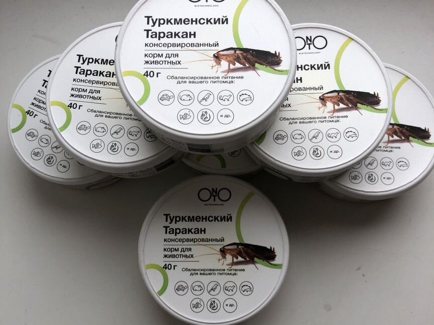 Корм для животных Туркменский таракан в баночках