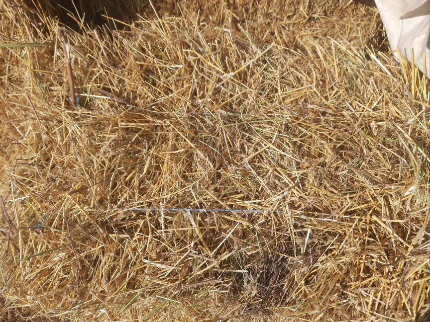 Продам солому пшеничную, ячменную,овсяную в тюках