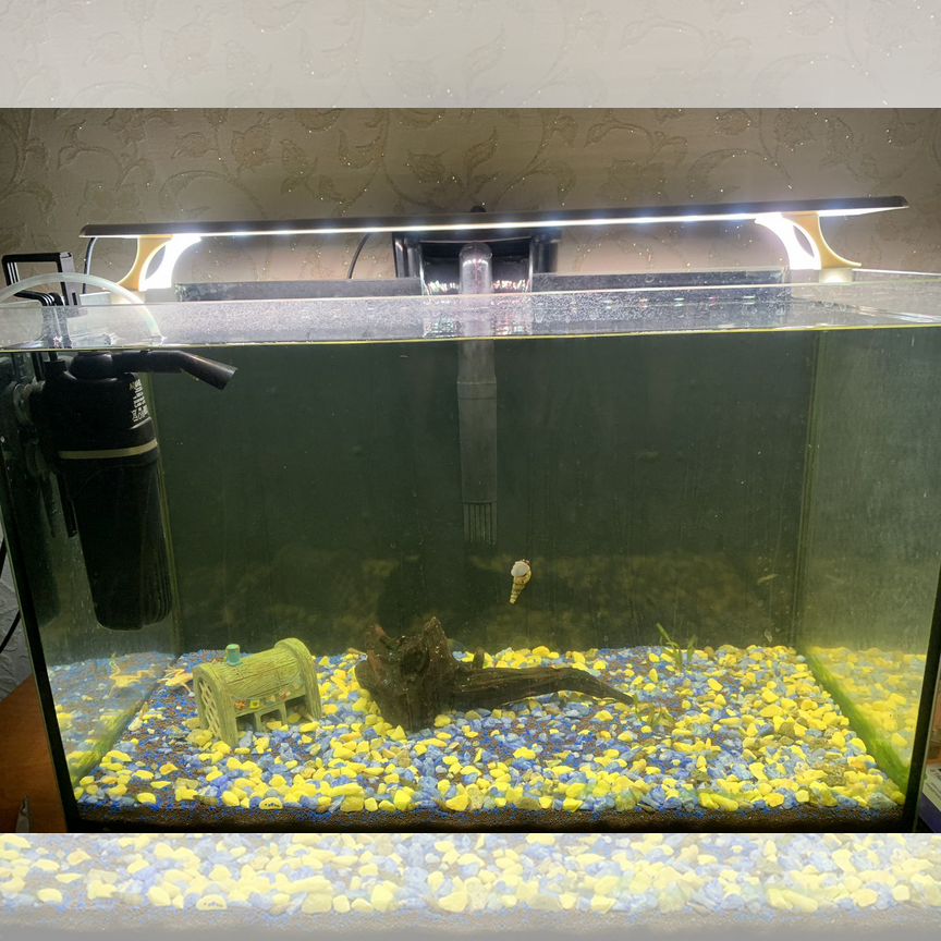 Аквариум,фильтры,лампа