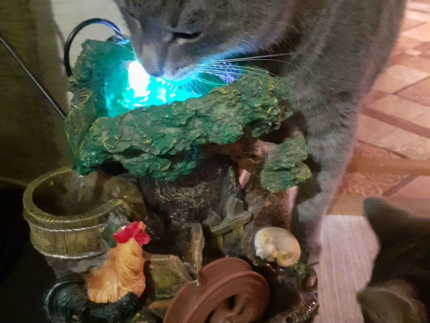 Фонтан поилка для кошек