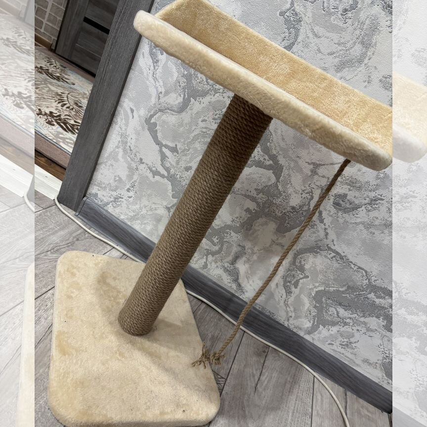 Когтеточка