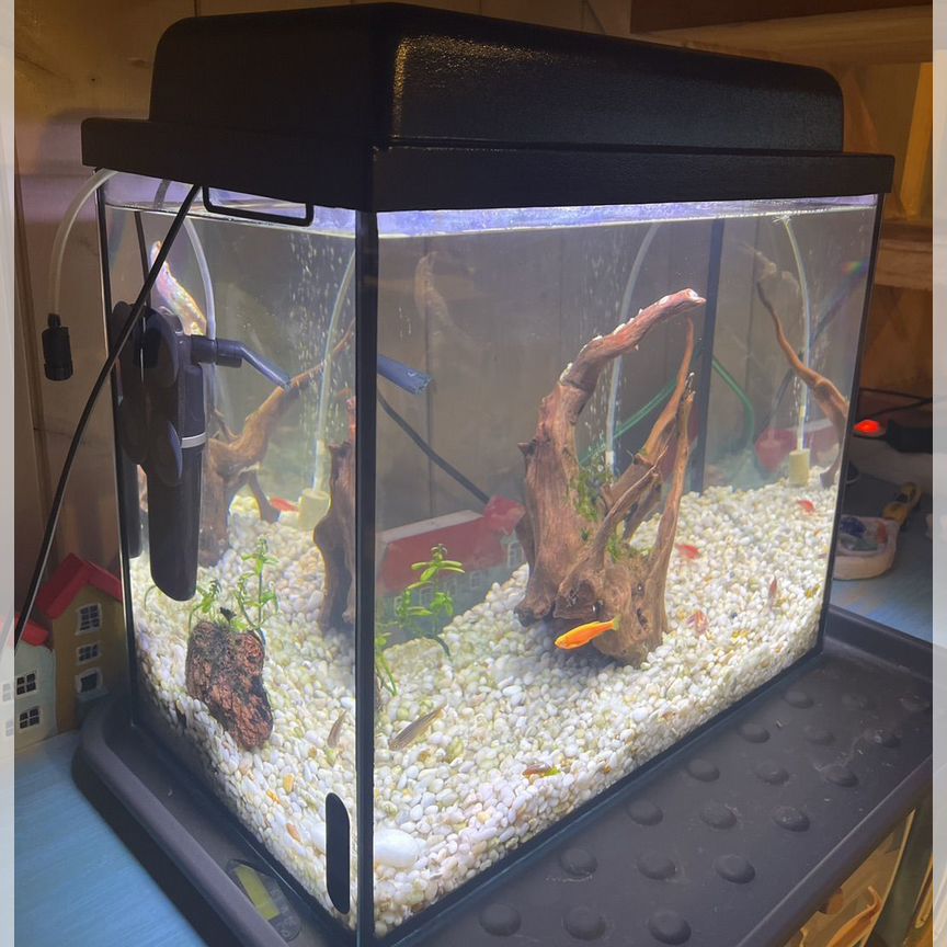 Аквариум с рыбками, едой и аксесуарами