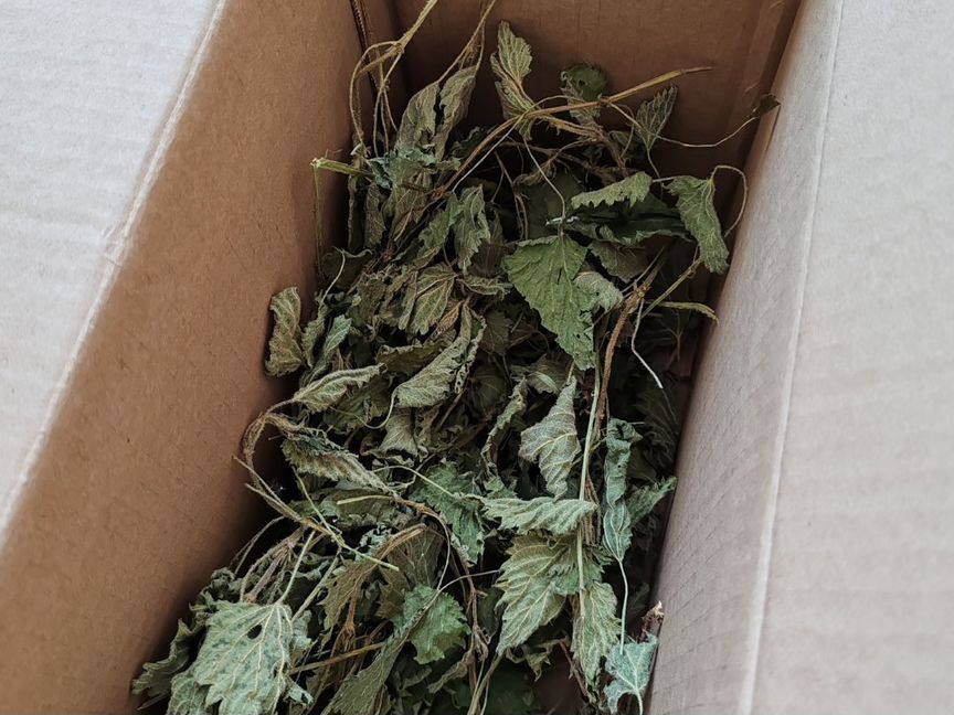 Сушеная крапива