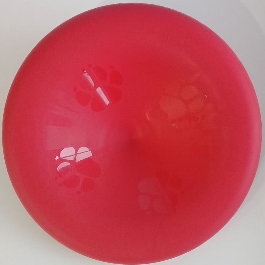 Фрисби для собак