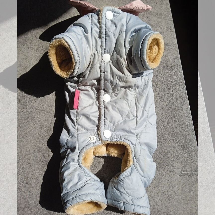 Комбинезон для маленькой собаки petmax