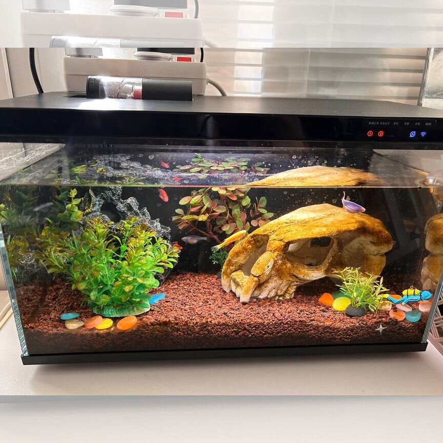 Аквариум с рыбками Xiaomi SMART Fish Tank MYG100