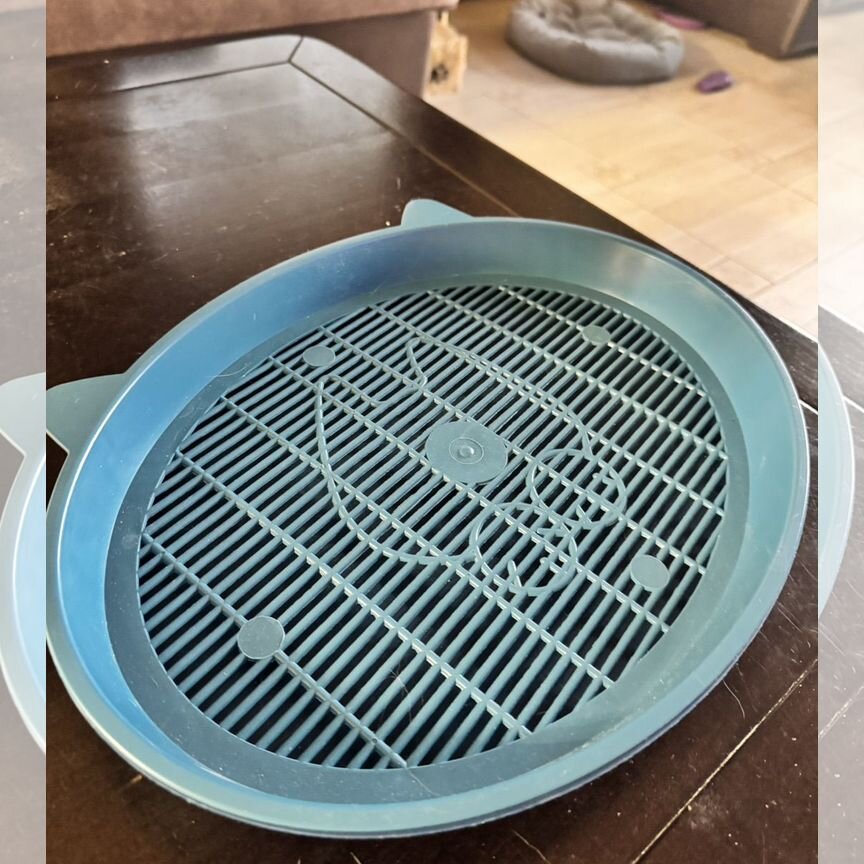 Кошачий лоток