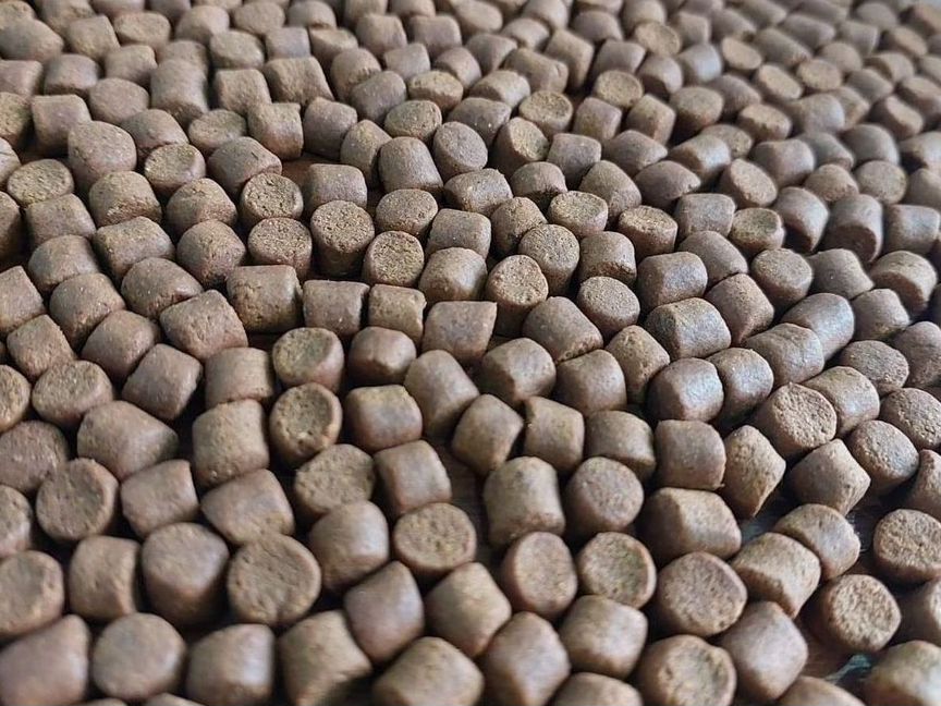 Корм для осетра