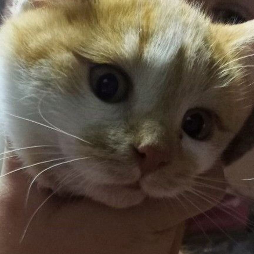 Маленькая девочка