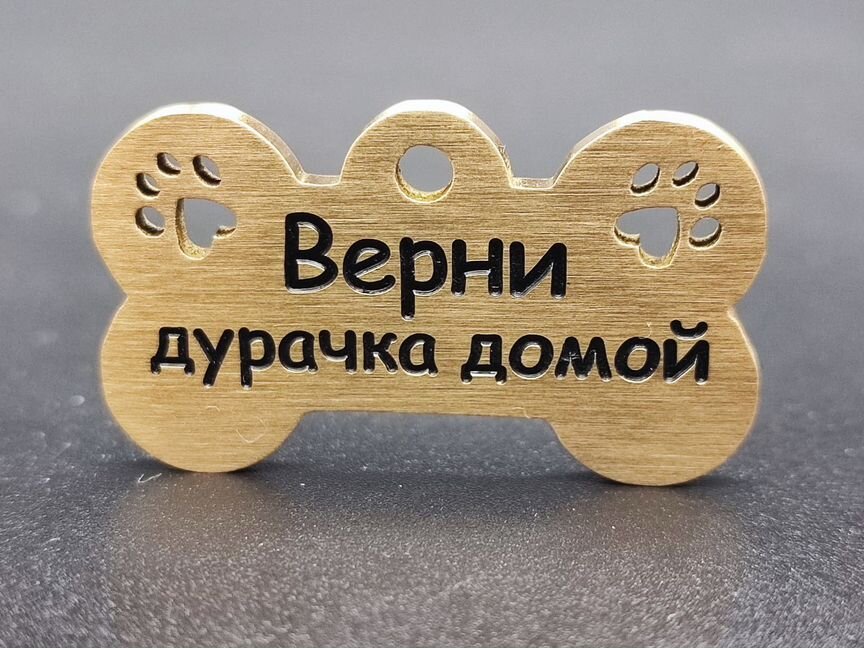 Адресник с оригинальной надписью для собаки