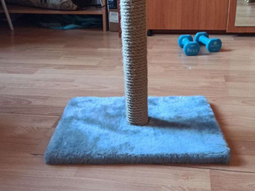 Когтеточка, домик для кошки и переноска