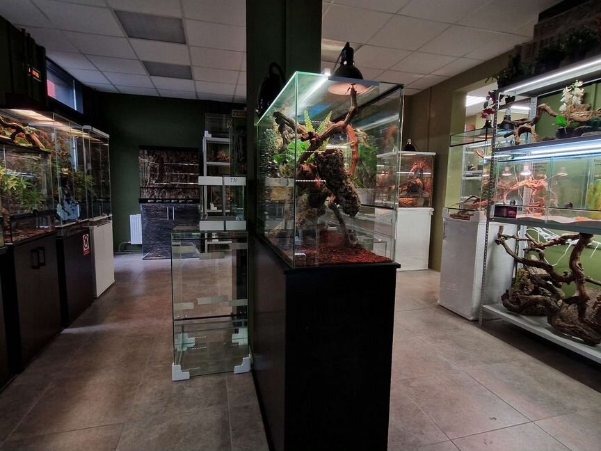 Товары для рептилий