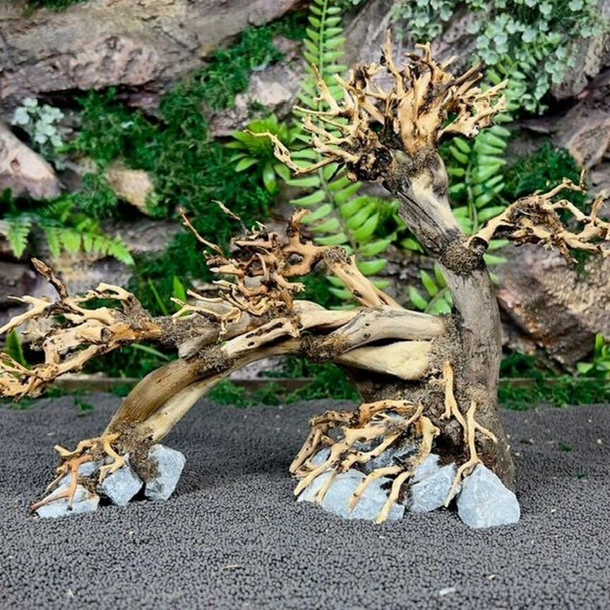 Коряга Бонсай бон117