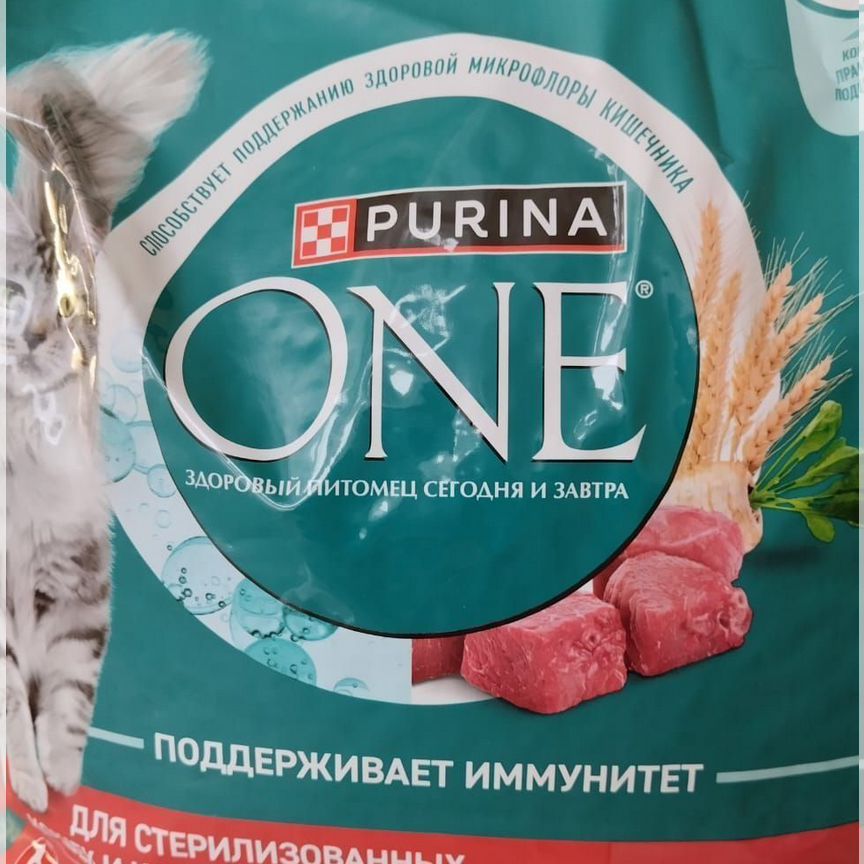 Корм для кошек