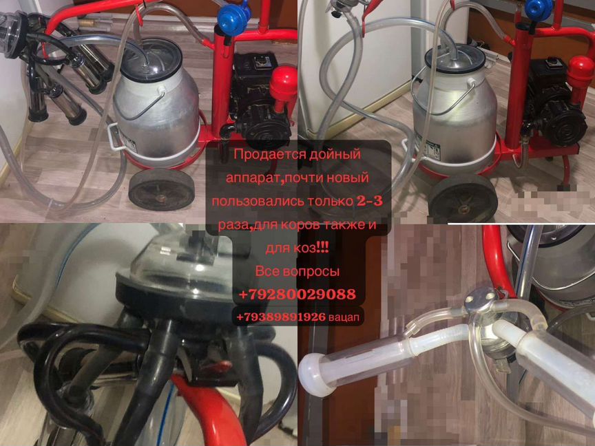Дойный аппарат