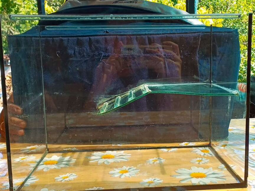 Аквариум для черепах бу 10 литров