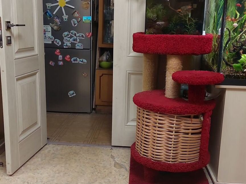 Домик Когтеточка для кошек бу