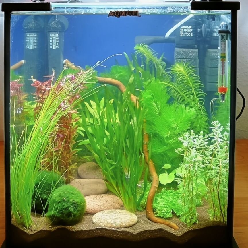 Аквариум 30 литров aquael кубик