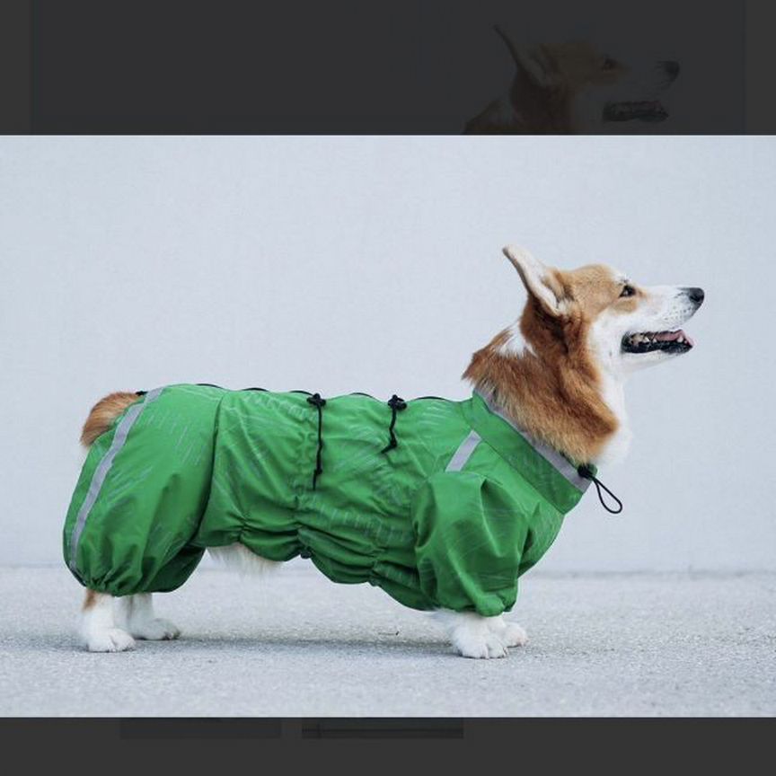 Комбинезон, дождевик для корги мальчик