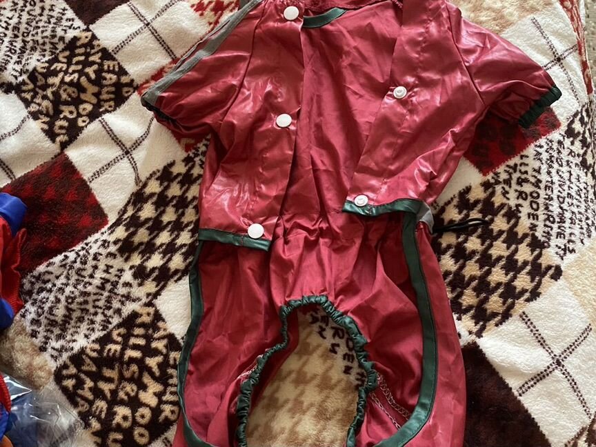 Дождевик и обувь для маленькой собаки