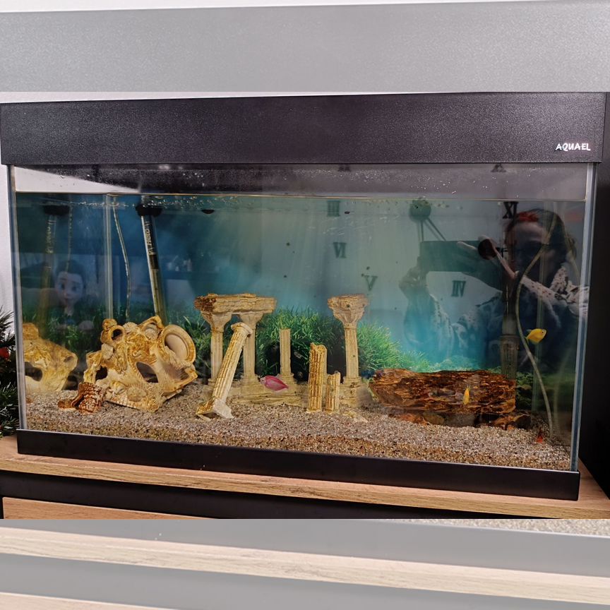 Аквариум