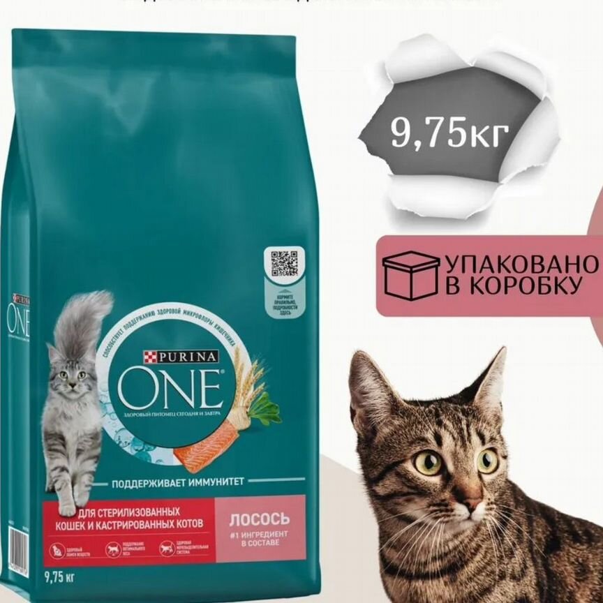 Сухой корм для кошек