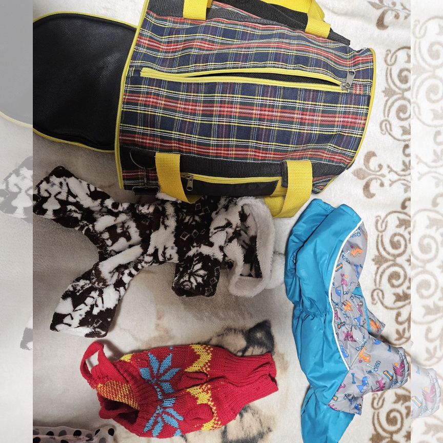 Одежда для маленьких собак