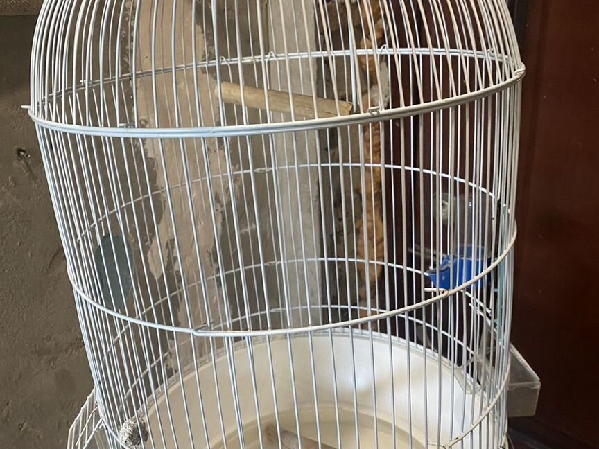 Клетка для попугая