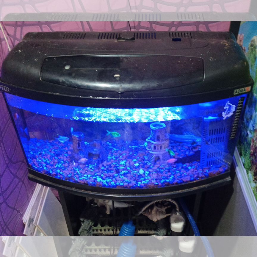 Аквариум 60 литров