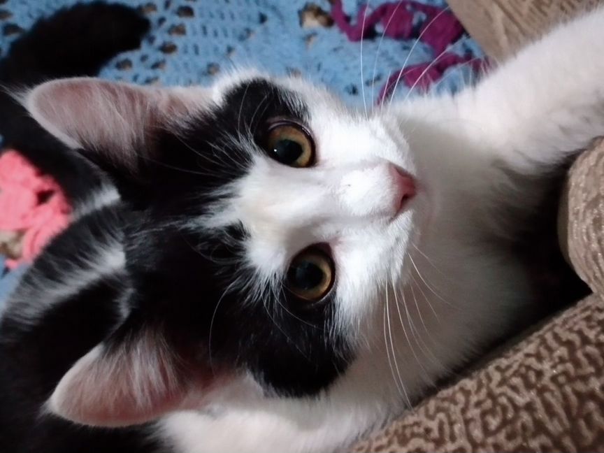 Девочка-принцесса 5 месяцев